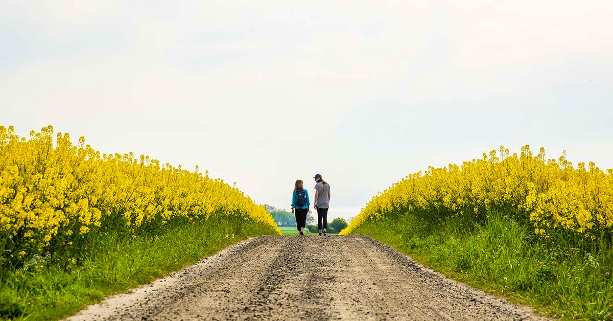 Can I use your photos on my website? - Swedish Tourist Association